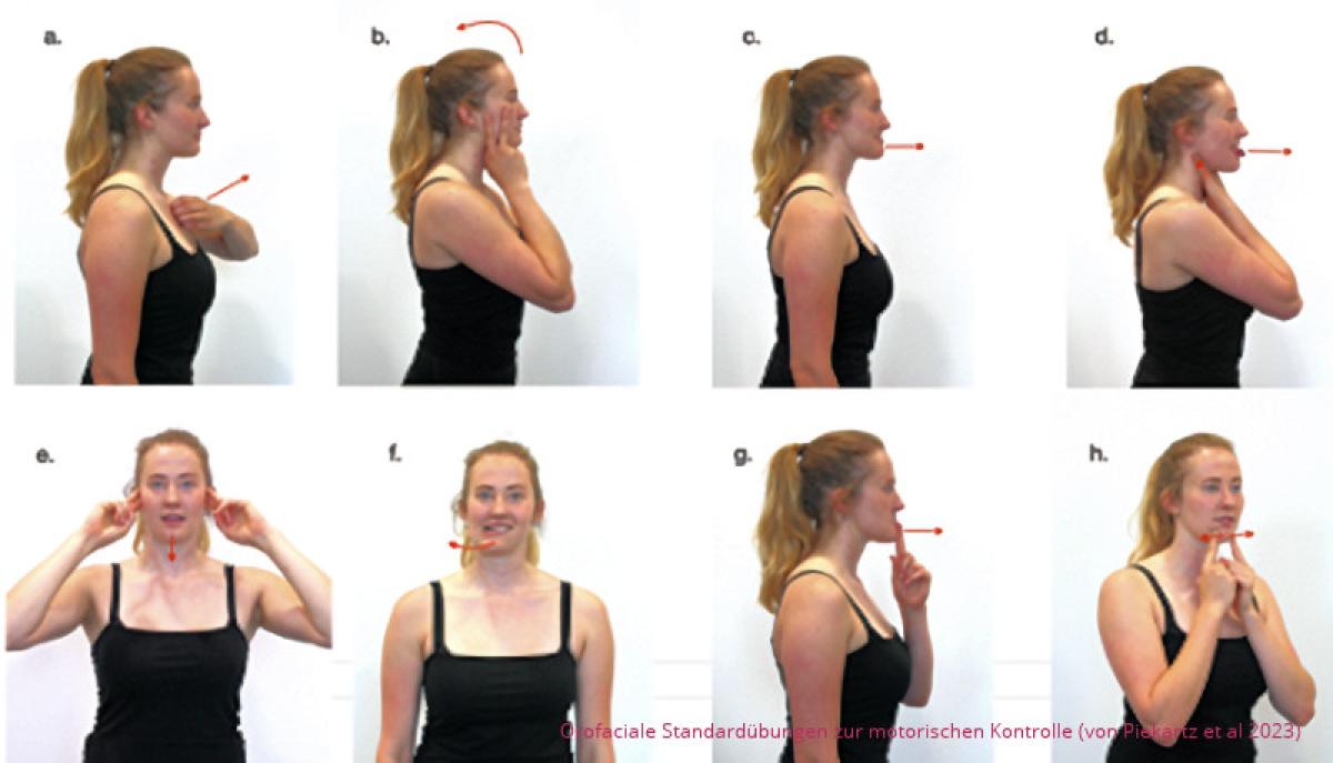 Functional Dysphonia | Crafta.org